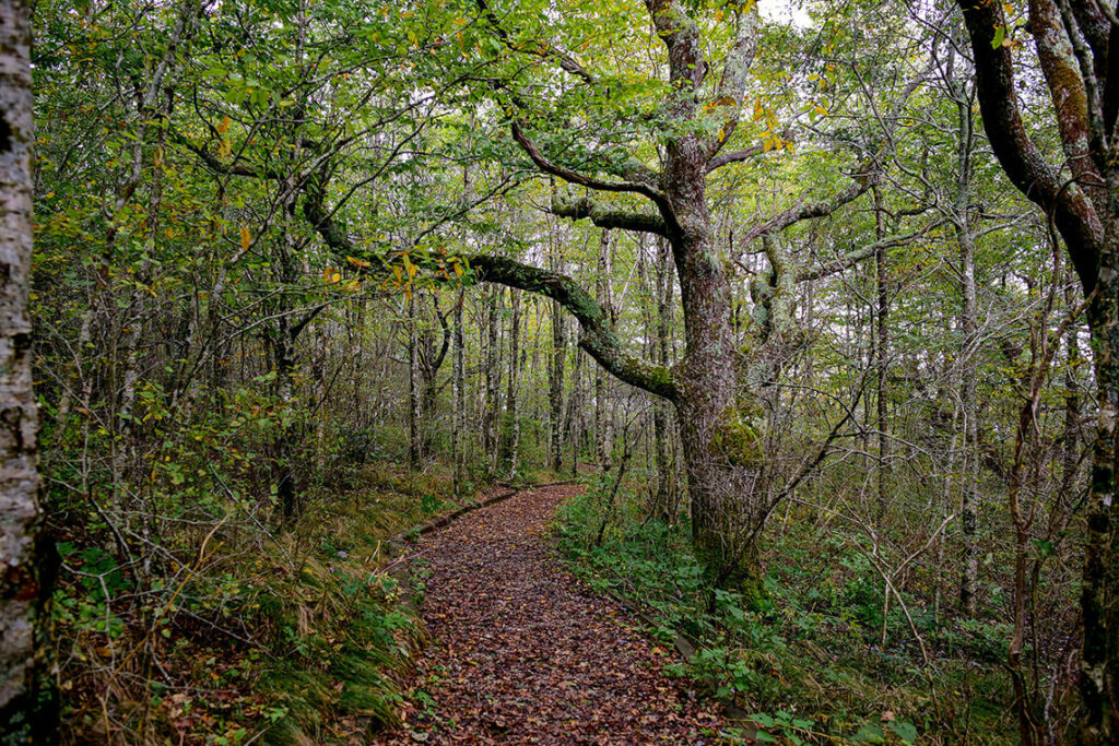 6 Ways to Explore Graham County During the Most Stunning Season | Our State