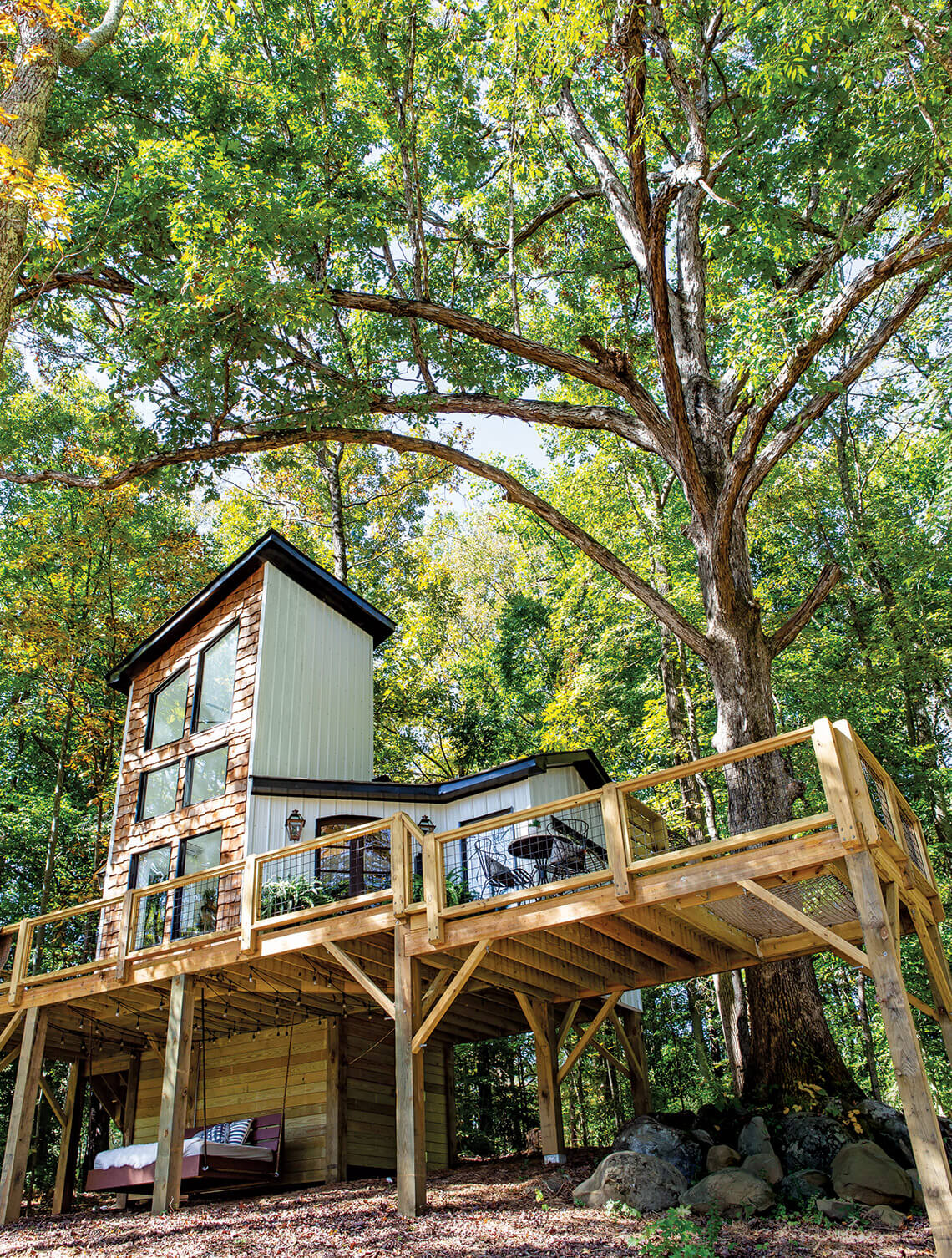 Charlotte’s Magical Tree House | Our State
