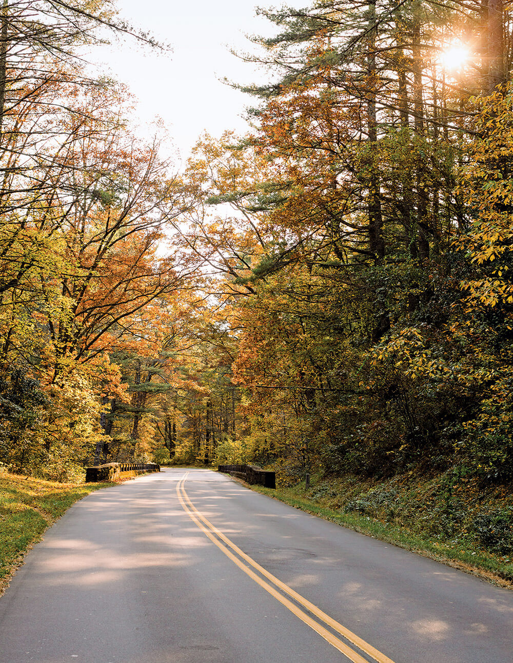 The Blue Ridge Parkway: A Monumental Drive | Our State
