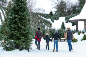 The Mountains Are Calling: Exploring Haywood County | Our State