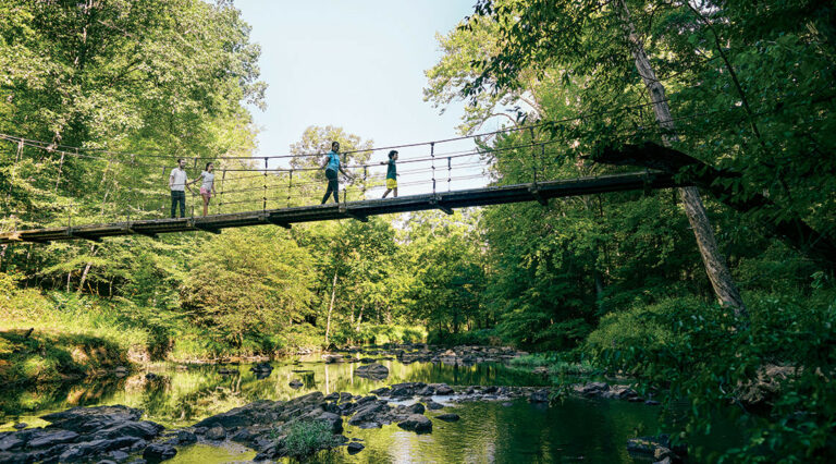 Natural Wonder in North Carolina’s State Parks | Our State