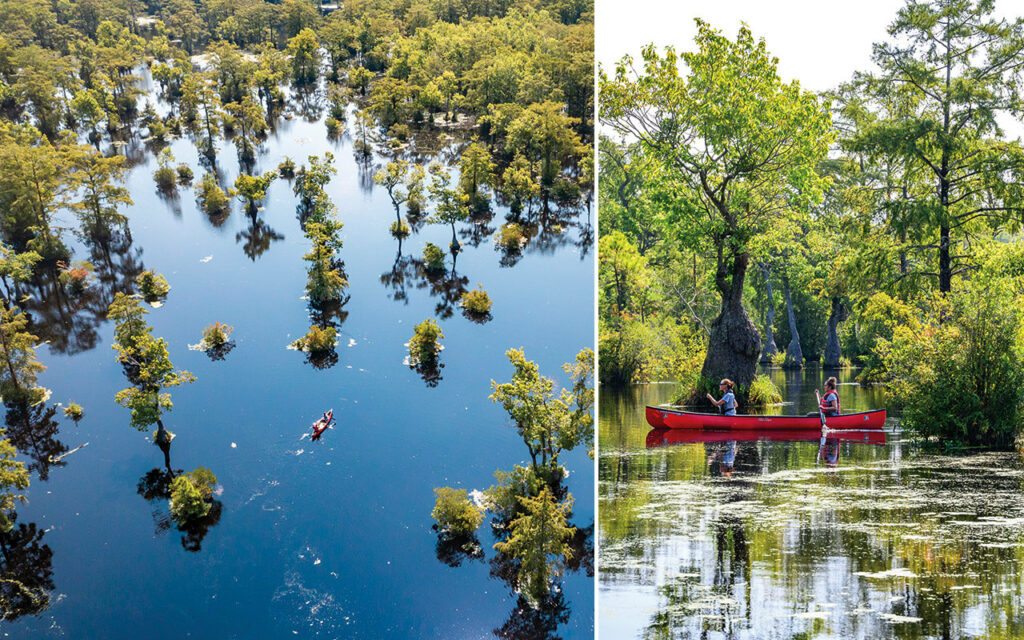 Natural Wonder in North Carolina’s State Parks | Our State