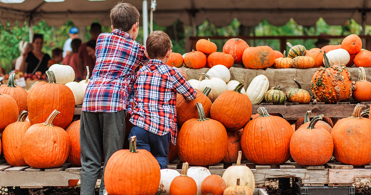 This Week at the Fall Market | Our State