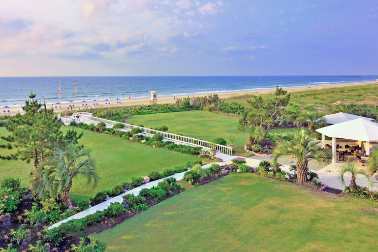 Sail Away at the Blockade Runner | Our State