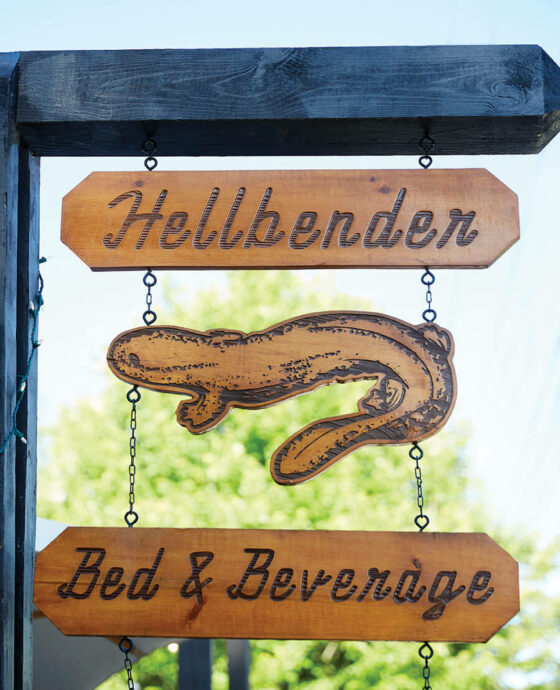 Sip and Stay at Hellbender Bed & Beverage | Our State