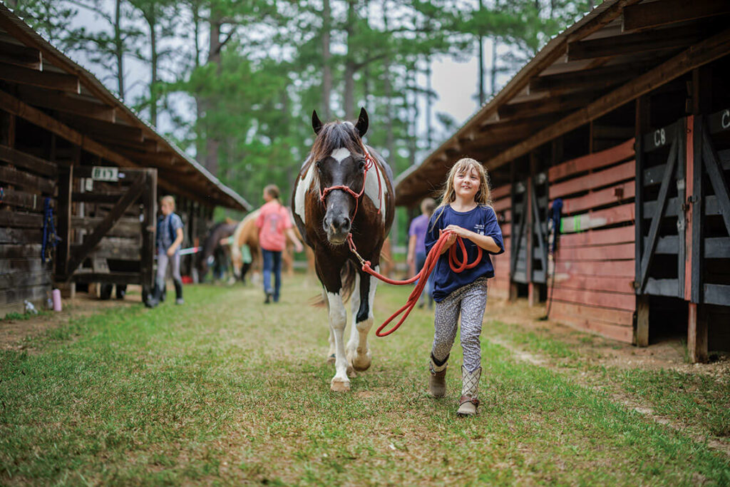 North Carolina’s Majestic Horses | Our State