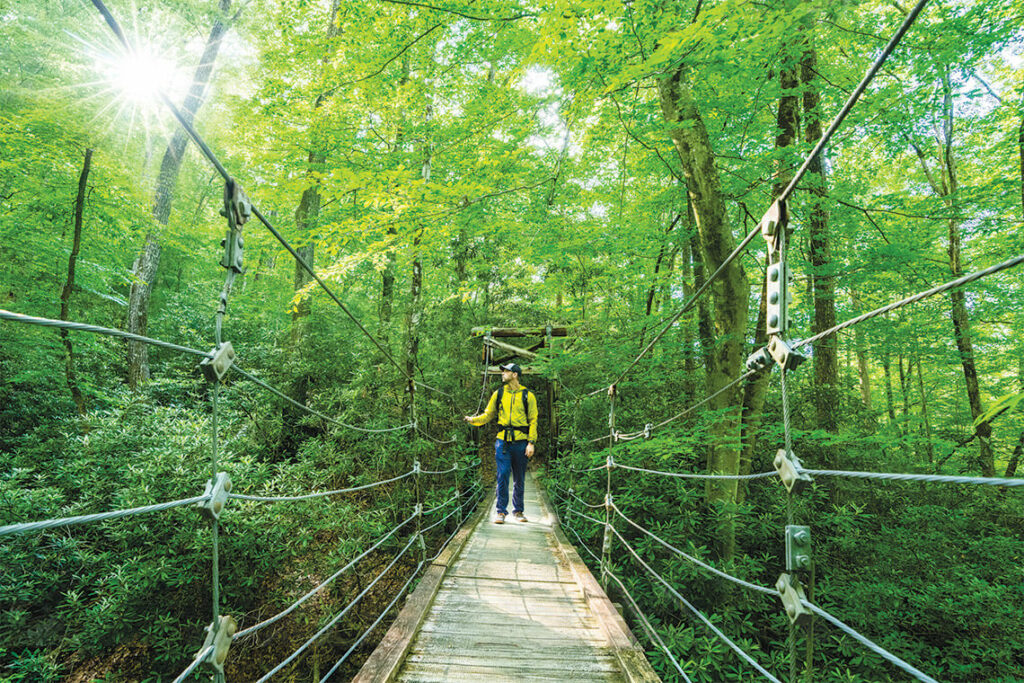 Swing Time: North Carolina’s Suspension Bridges | Our State