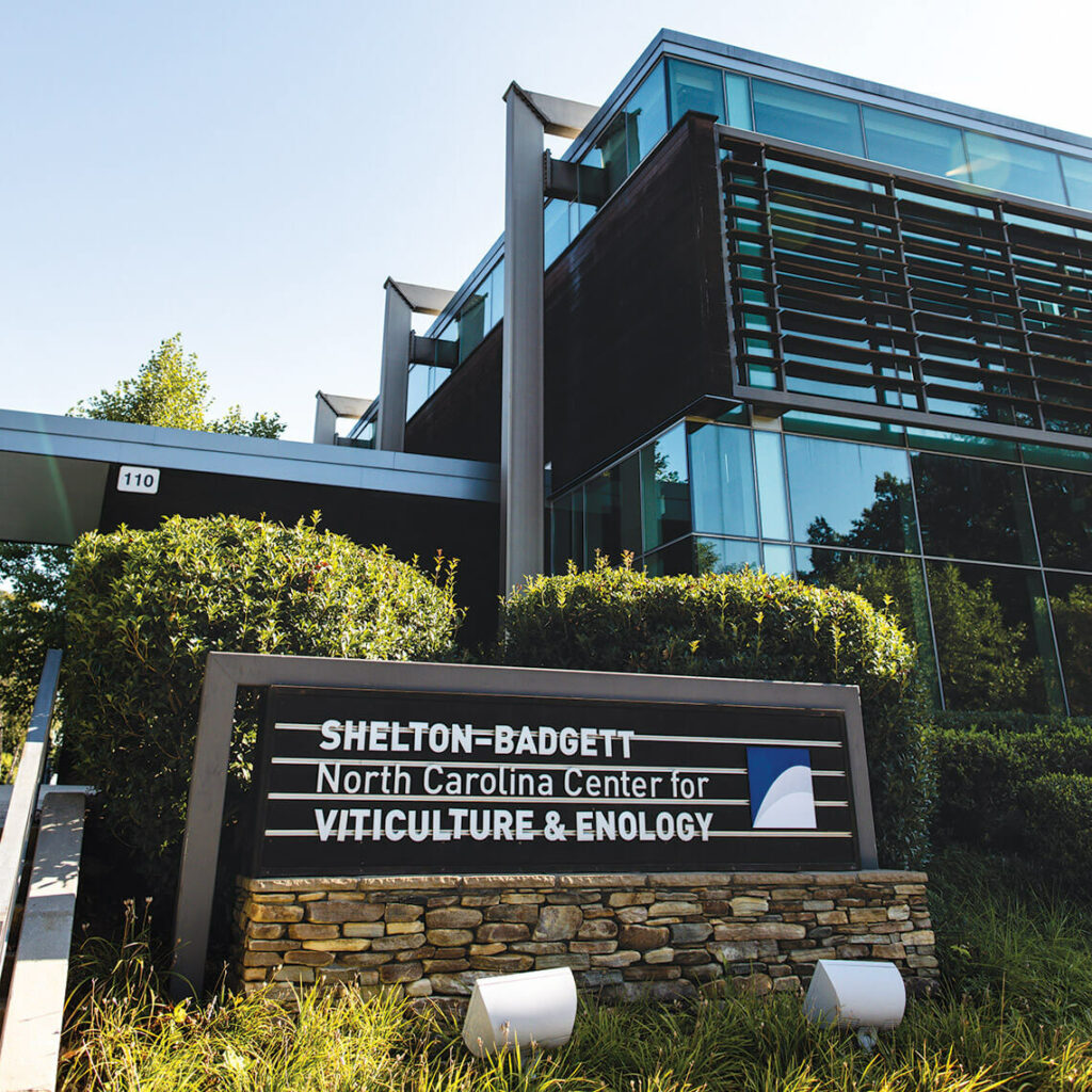 Through the Grapevine | Our State