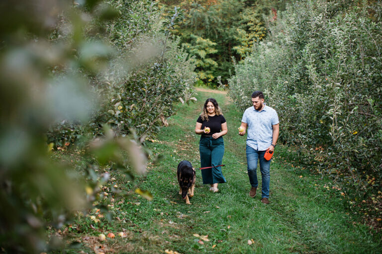 Hidden Treasures of Autumn in the North Carolina Mountains | Our State