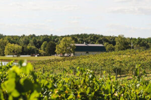 Away from the Hustle and Bustle in Person County | Our State