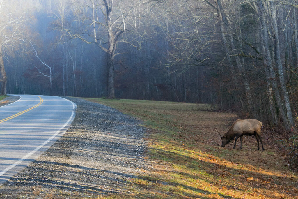 8 Scenic Drives in the North Carolina Mountains | Our State