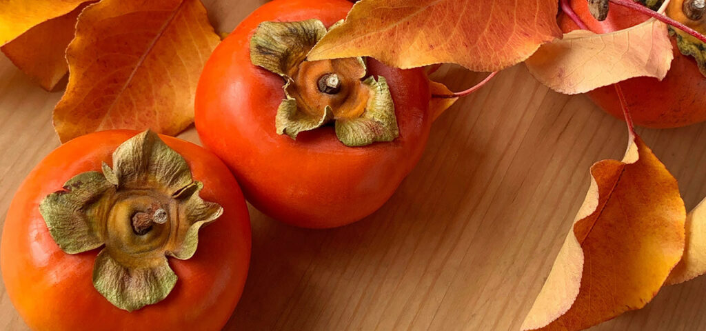 Our State Knows Best: Persimmons | Our State
