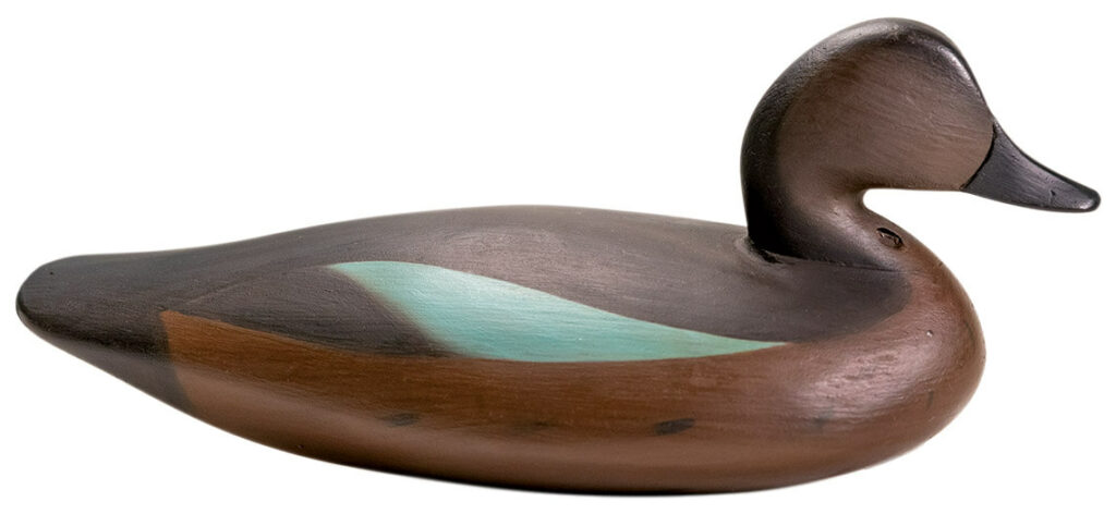 Birds of Paradise | Our State