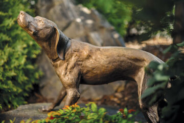 Carolina Born & Bred | Our State