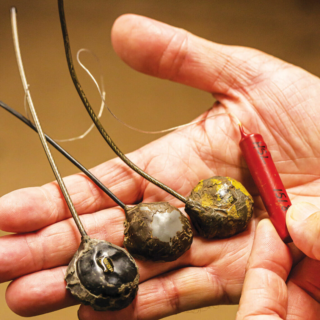 Tracking Turtles with the Box Turtle Connection | Our State