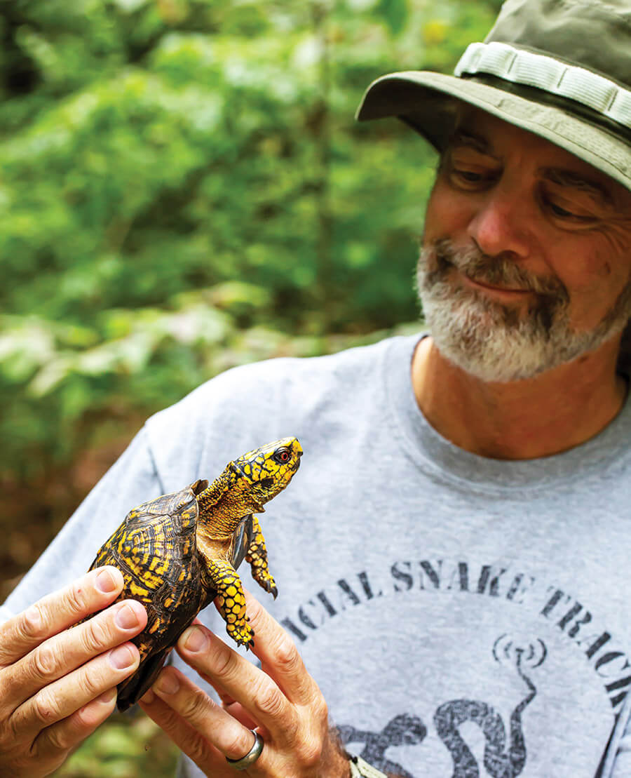 Tracking Turtles with the Box Turtle Connection | Our State