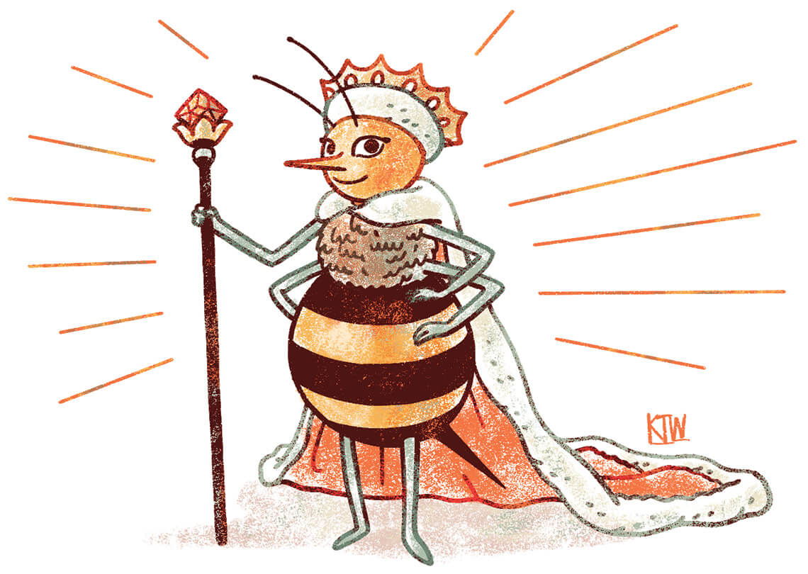 North Carolina s Official State Symbols Our State 2022 North Carolina s Official State Symbols Our State 2022