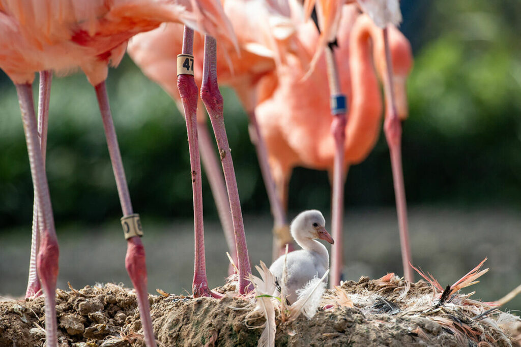 Only in Halifax County: 5 Spring Adventures | Our State