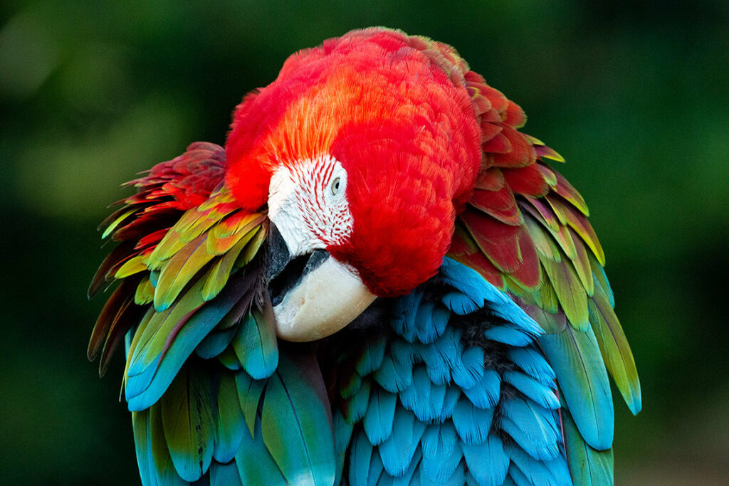 Only in Halifax County: 5 Spring Adventures | Our State