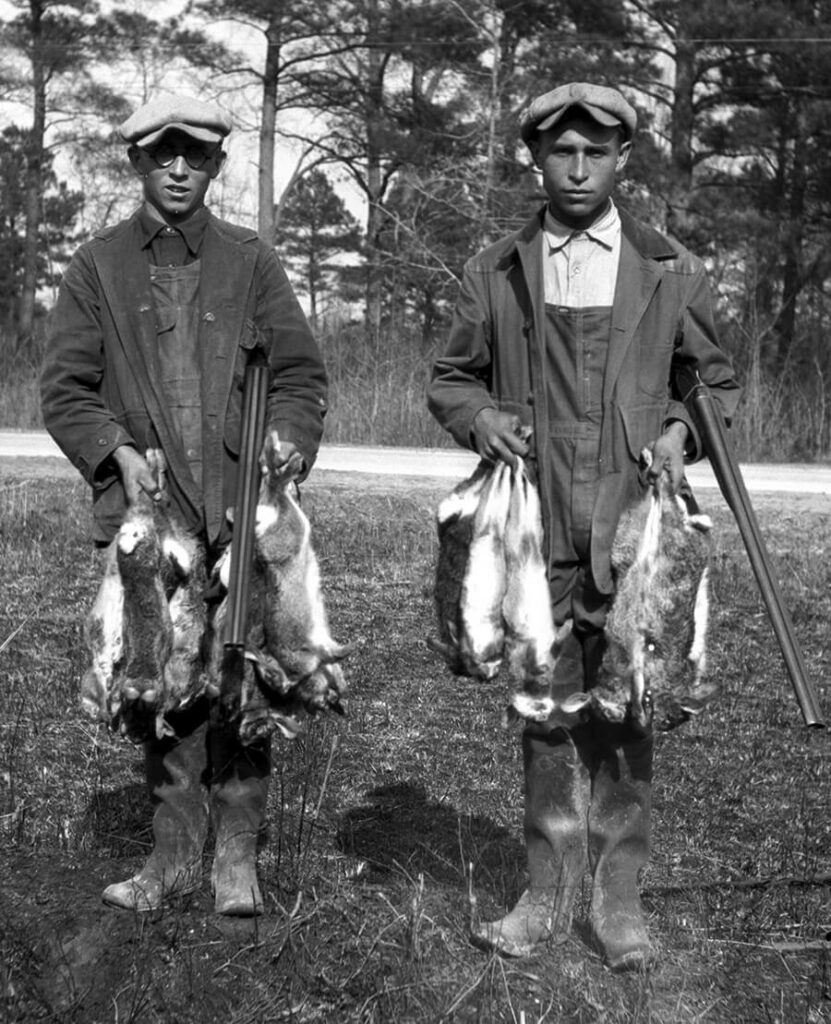 The Rabbits of Chatham County | Our State