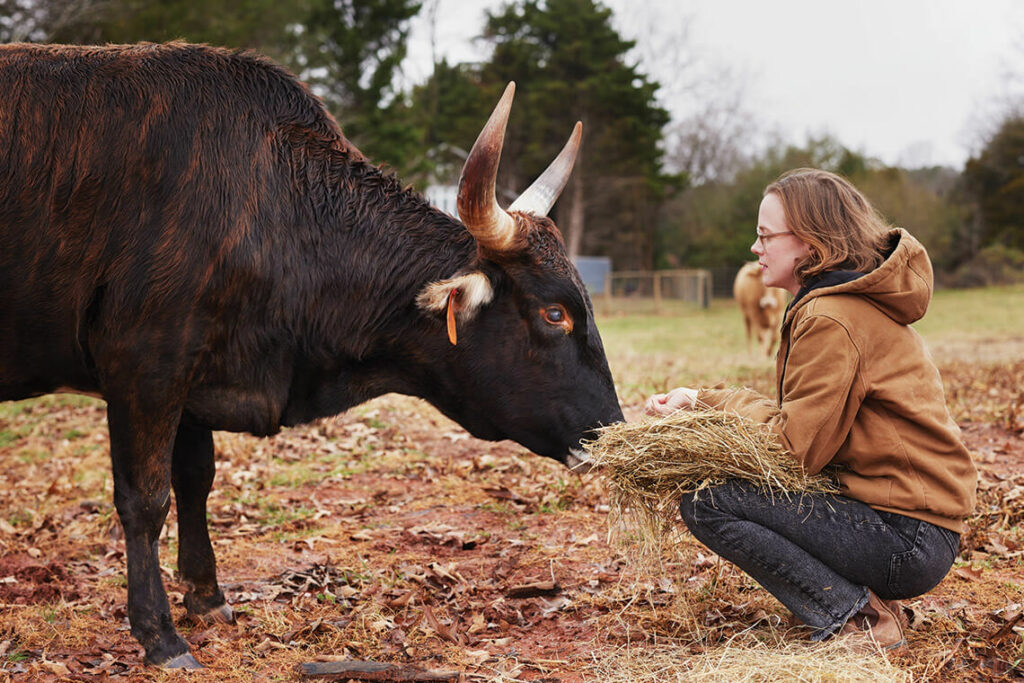 The Chatham Rabbits Find the Harmony of Home | Our State