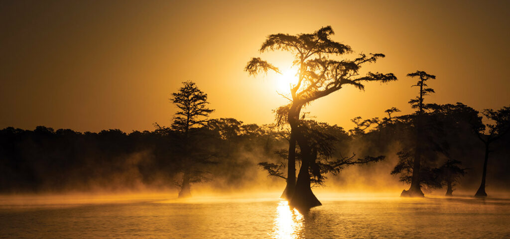Beauty in the Backwaters | Our State
