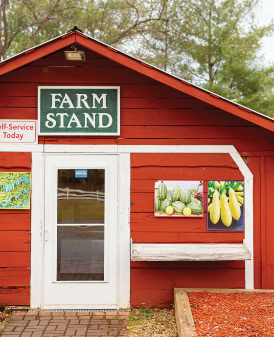 Food for the Soul at Victory Kitchen | Our State