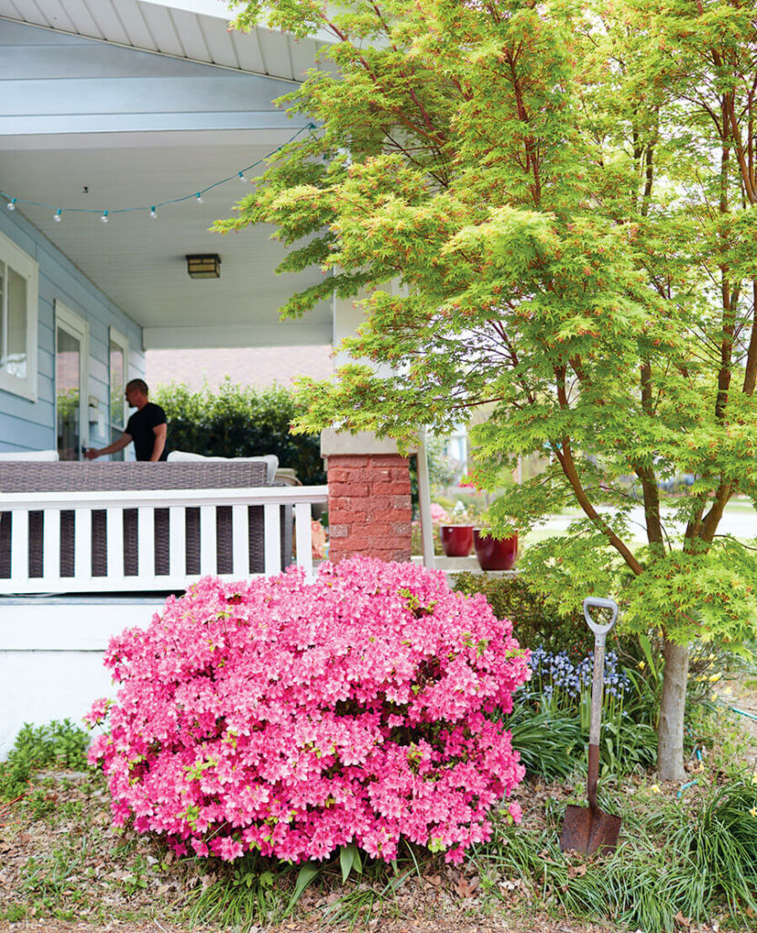 A Ring of Truth | Our State