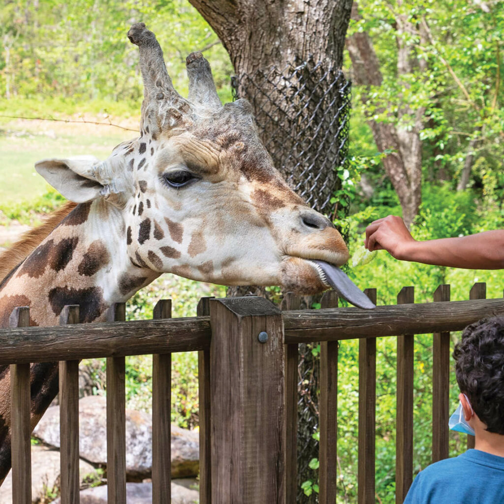 13 North Carolina Destinations for Accessible Travel | Our State