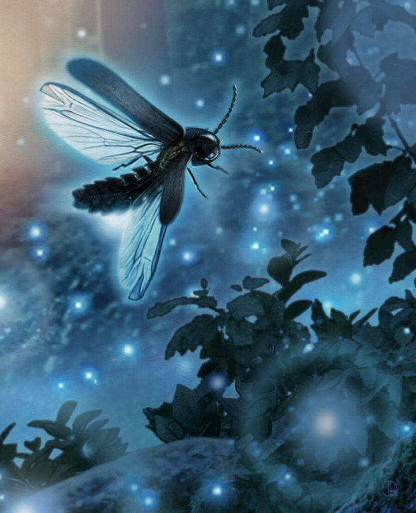 Hunting Carolina Ghosts | Our State