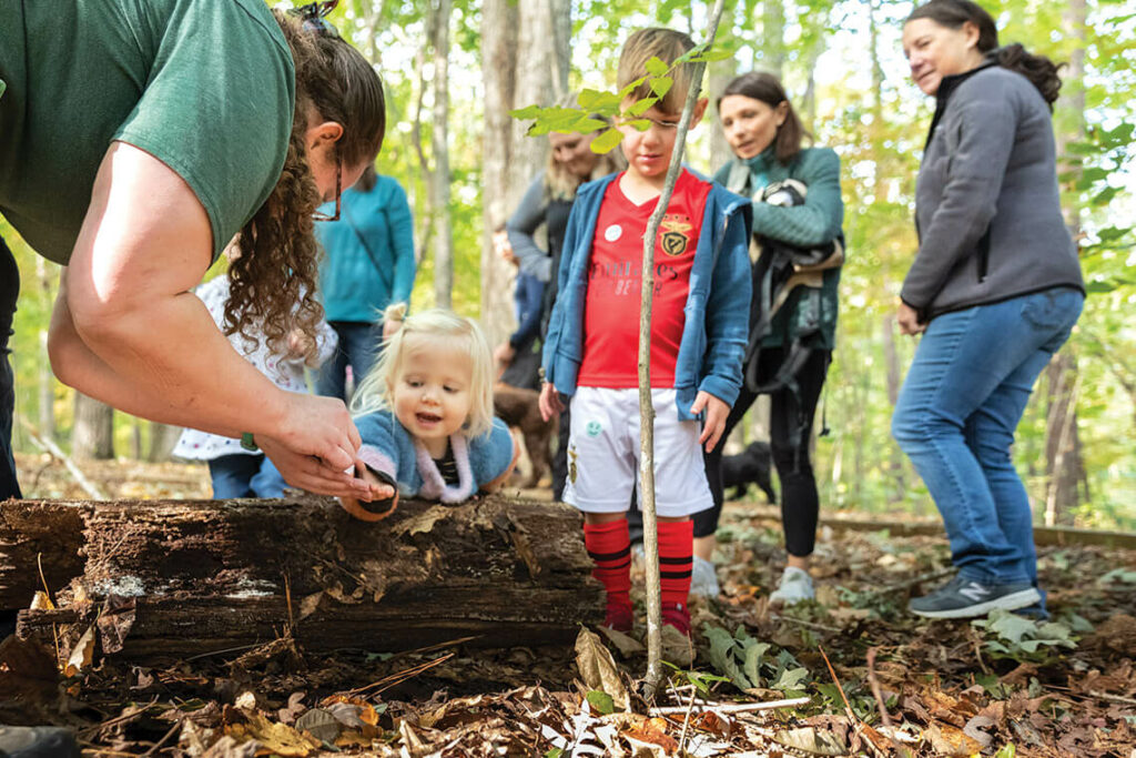 Keeper of the Hemlocks | Our State