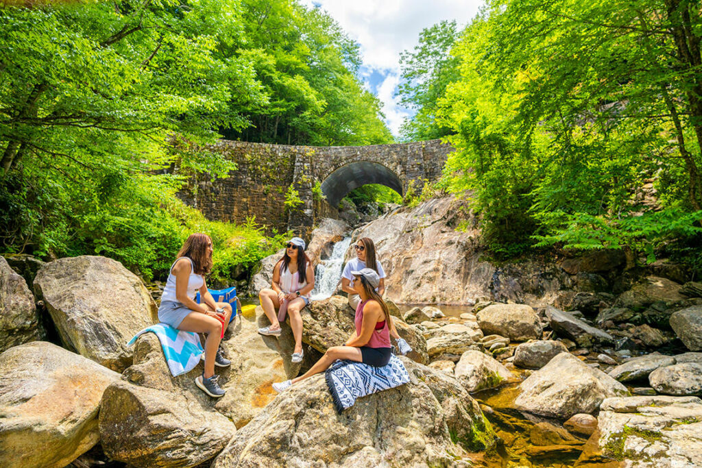 Forests, Swimming Holes, and Festivals: A Summertime Guide to Haywood ...