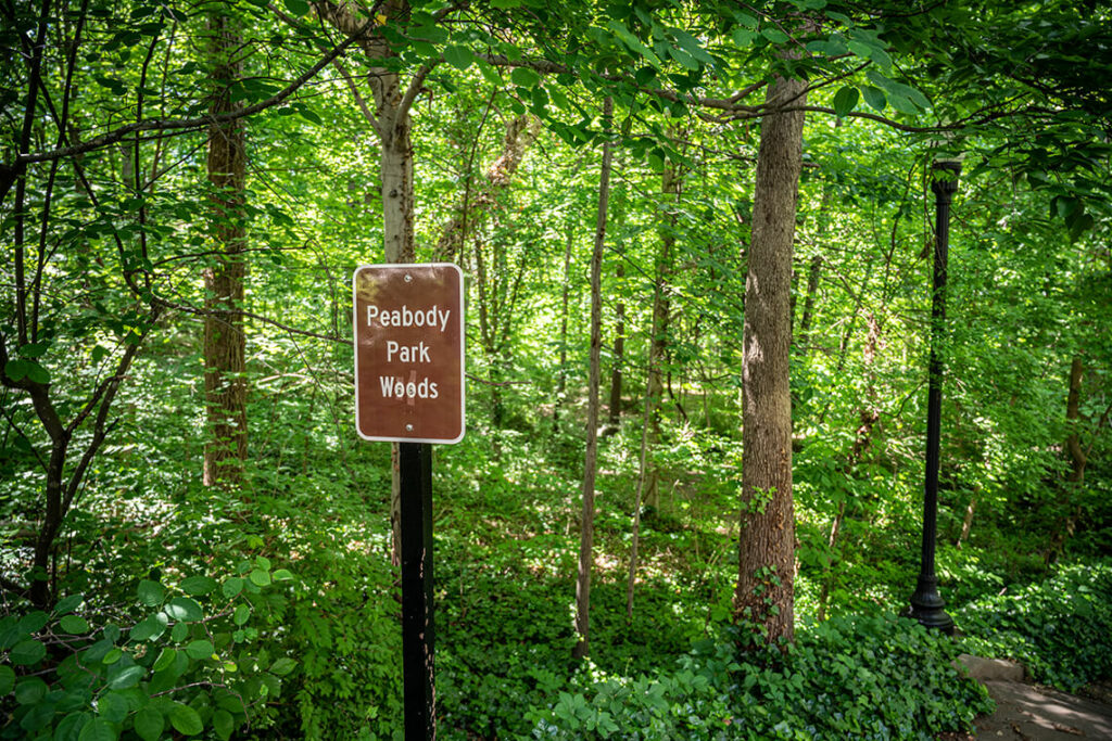 A Spring Day in Greensboro | Our State