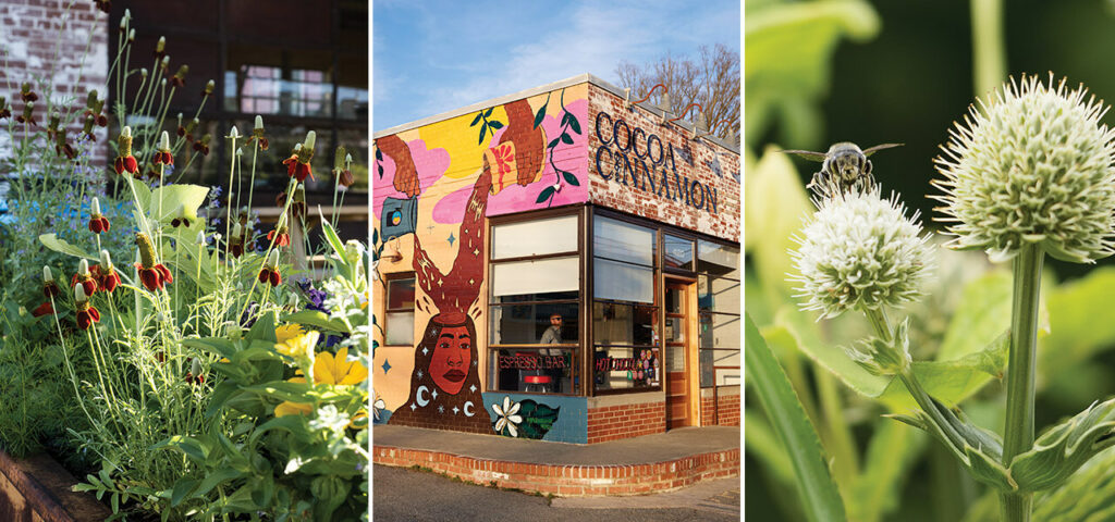 Bloom Where You’re Planted in Durham | Our State