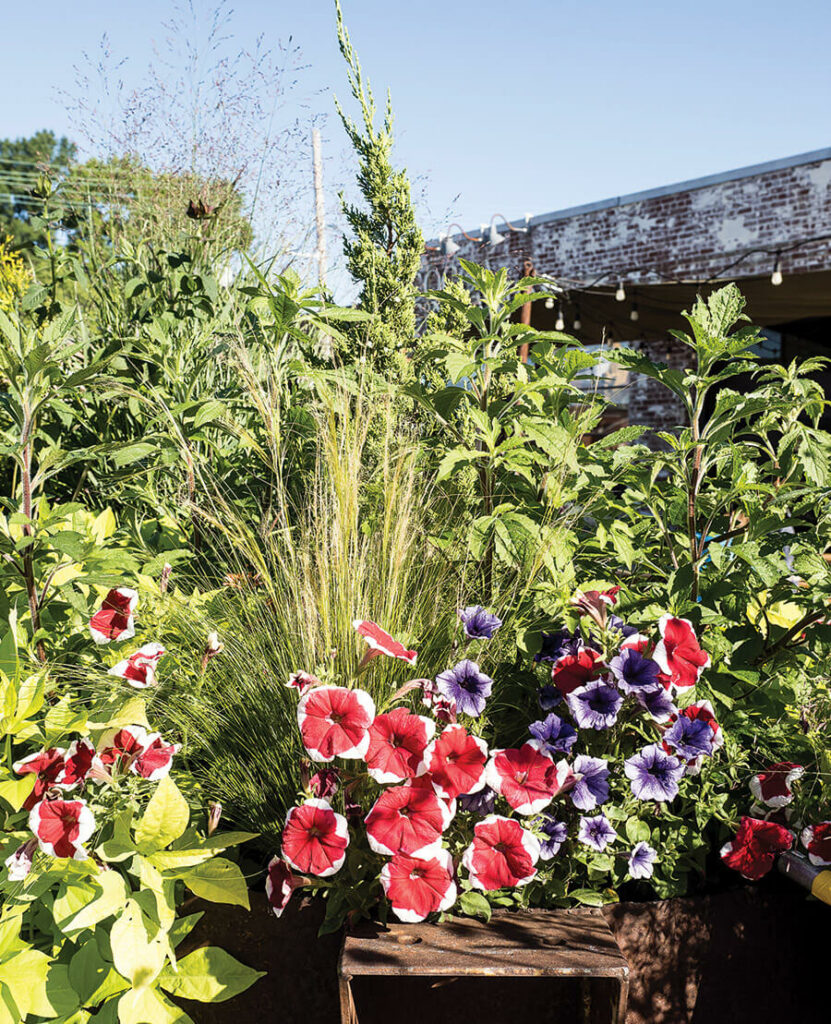 Bloom Where You’re Planted in Durham | Our State