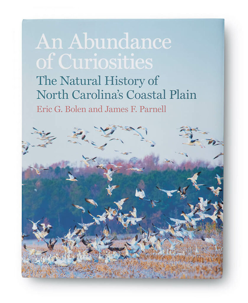 Book Review: An Abundance of Curiosities | Our State