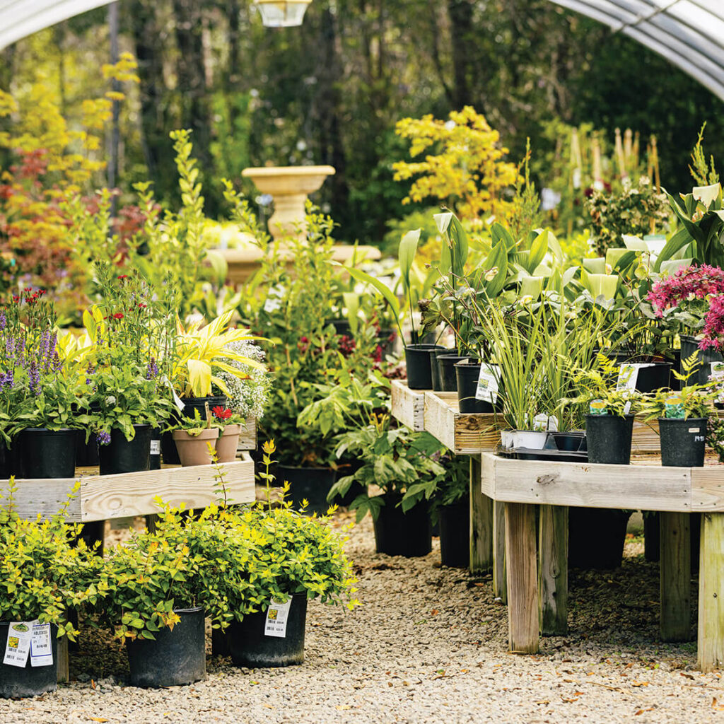 Growing Up at Carolina Home & Garden | Our State