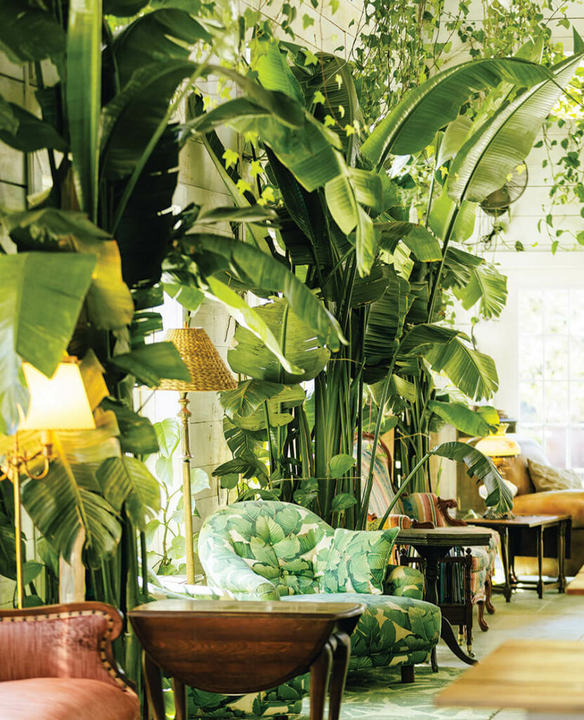 Growing Up at Carolina Home & Garden | Our State