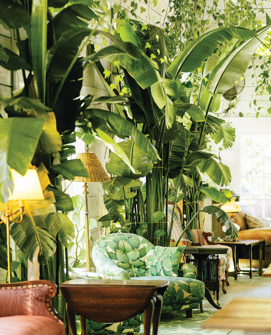 Growing Up at Carolina Home & Garden | Our State