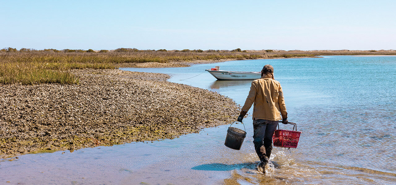 The Shellfish Queen of Wrightsville Beach | Our State