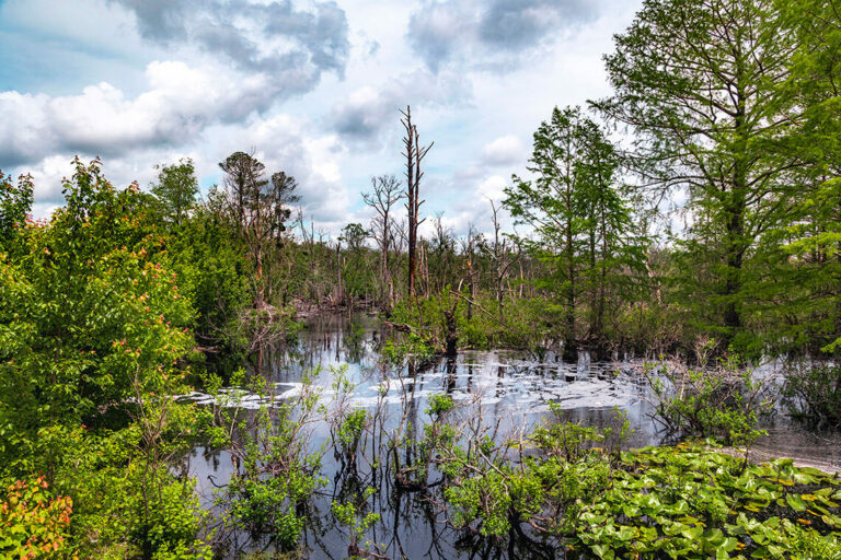 3 Places to Discover North Carolina’s Moonshining Past | Our State