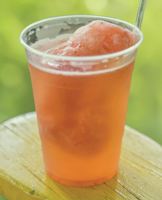 7 Spots for Frozen Treats in North Carolina | Our State