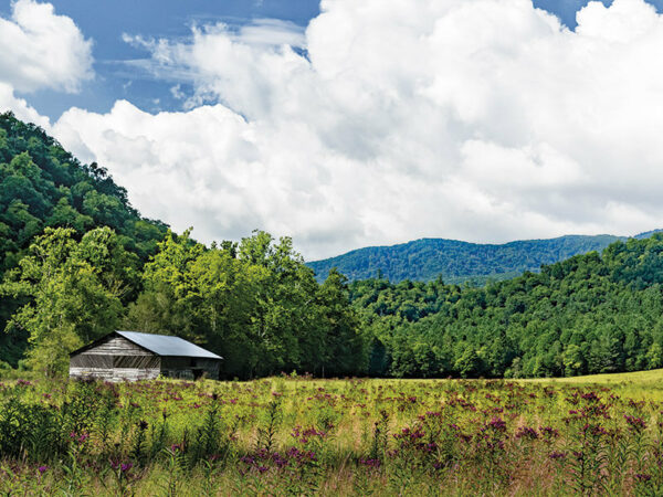 cataloochee valley Archives | Our State