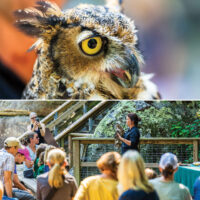 Chimney Rock: The Mountaintop Experience | Our State
