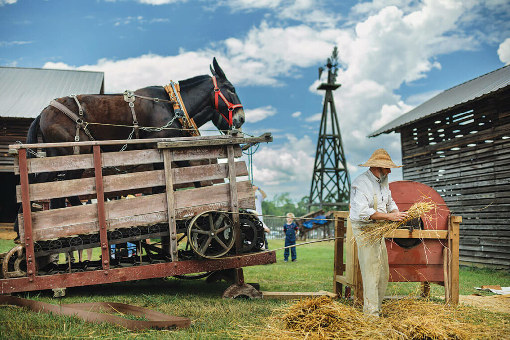 The Power of Love in Denton | Our State