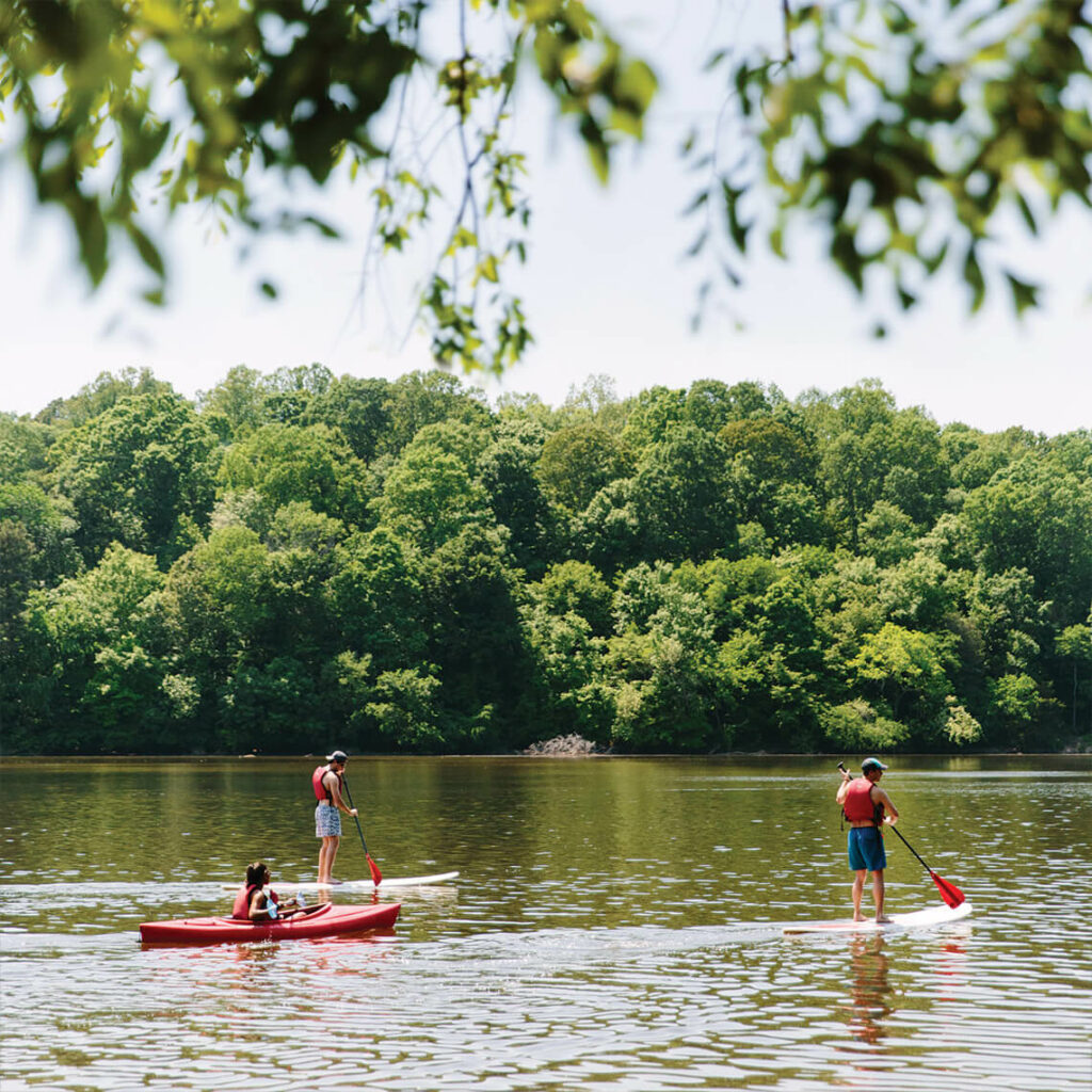 11 Tar Heel Tours | Our State
