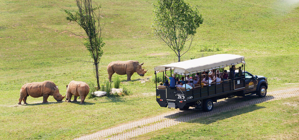 A Ride on the Wild Side at the NC Zoo | Our State