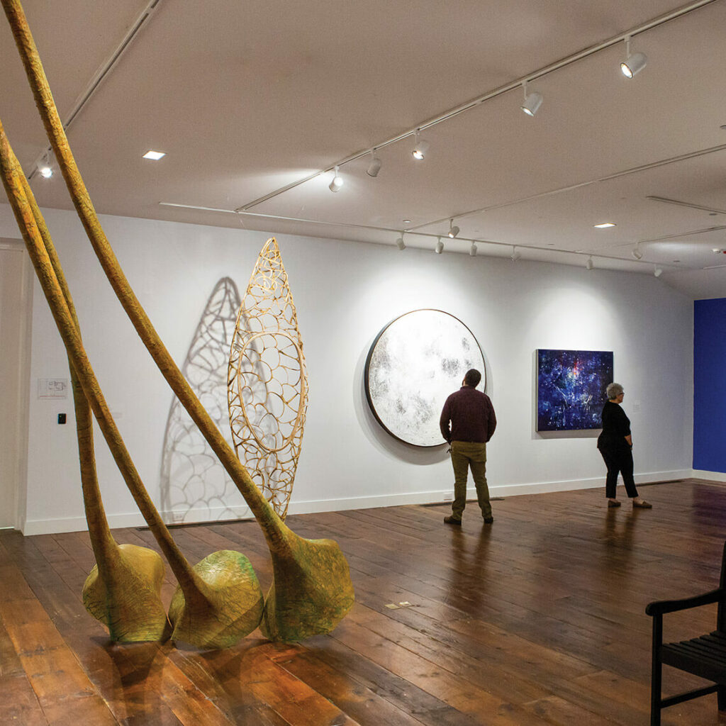 A 7-County Guide to the Smokies | Our State