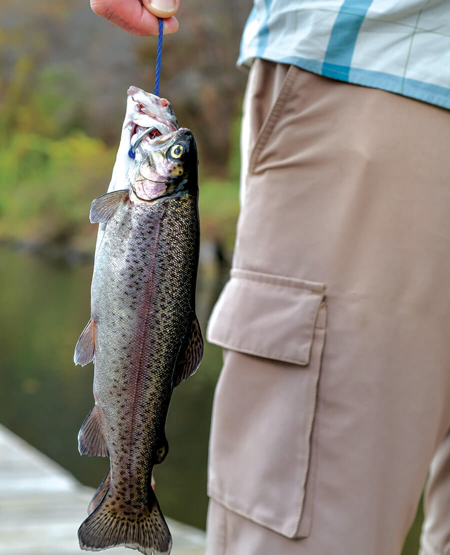 The Smoky Mountain Fish Whisperer | Our State