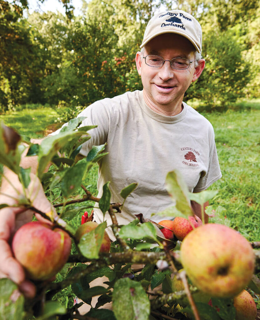 Apples | Our State